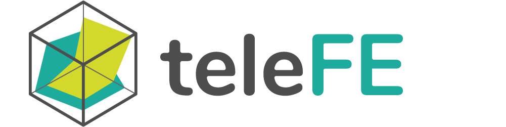 TeleFE - valutazione integrata delle Funzioni Esecutive
